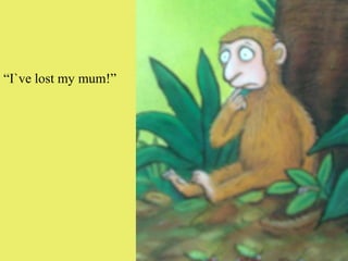Monkey Puzzle | PPTX