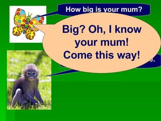 Monkey Puzzle Ppt | PPS