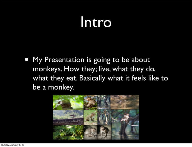 Monkeys | PPT