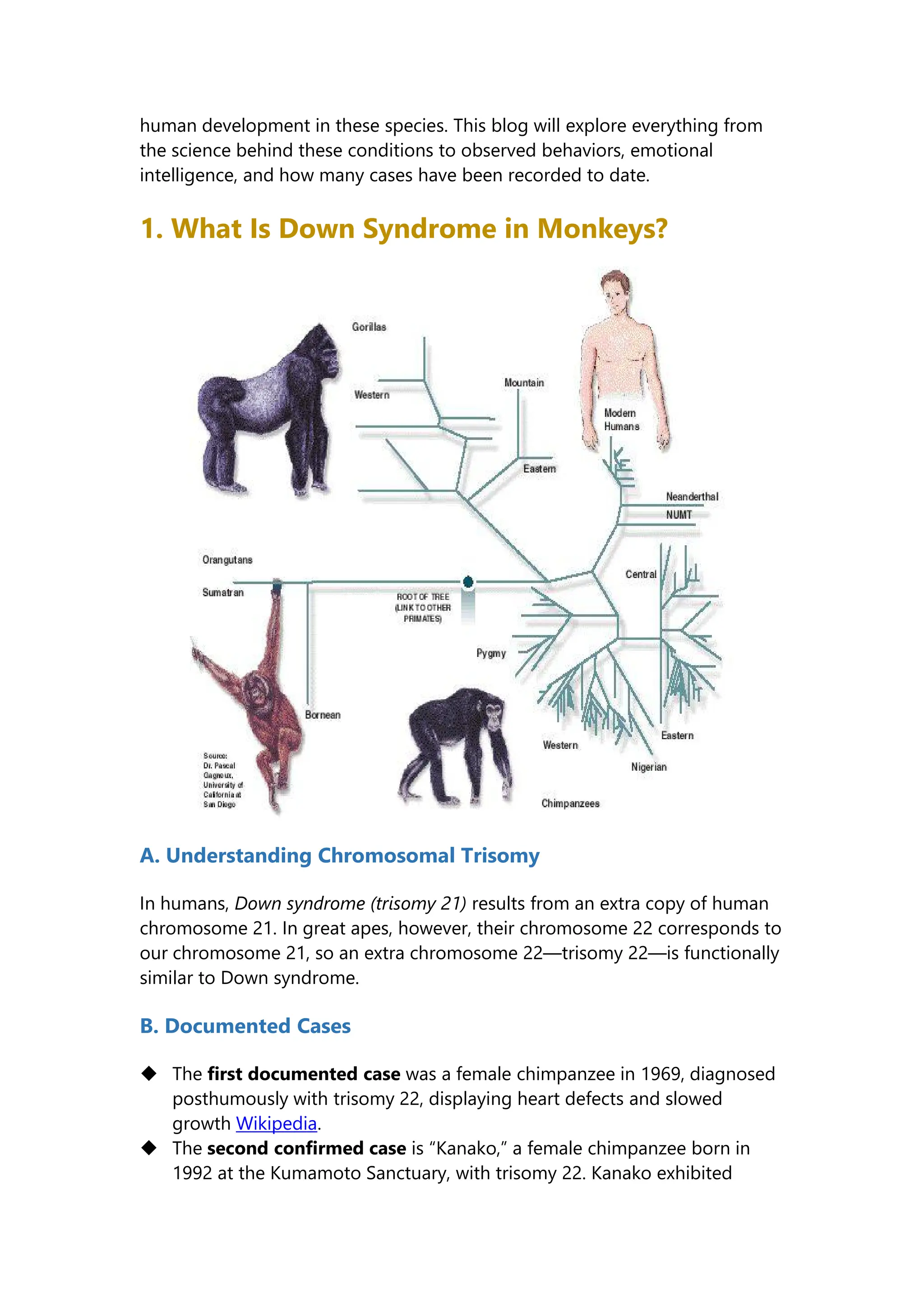 Monkey with Down Syndrome: Understanding Trisomy in Primates | PDF