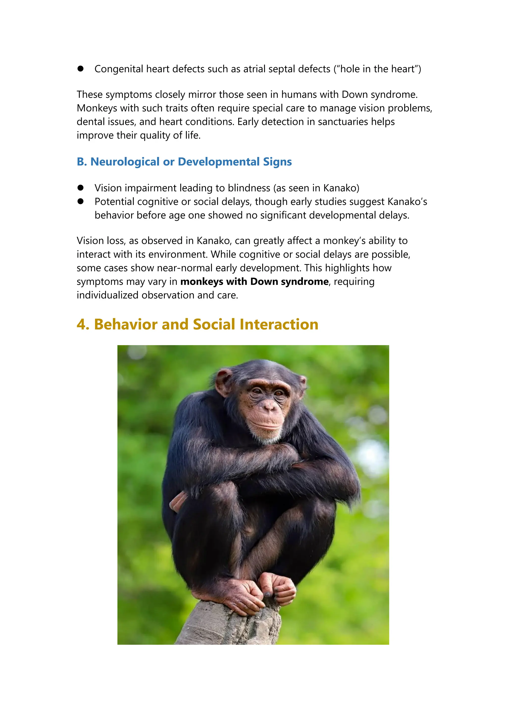 Monkey with Down Syndrome: Understanding Trisomy in Primates | PDF