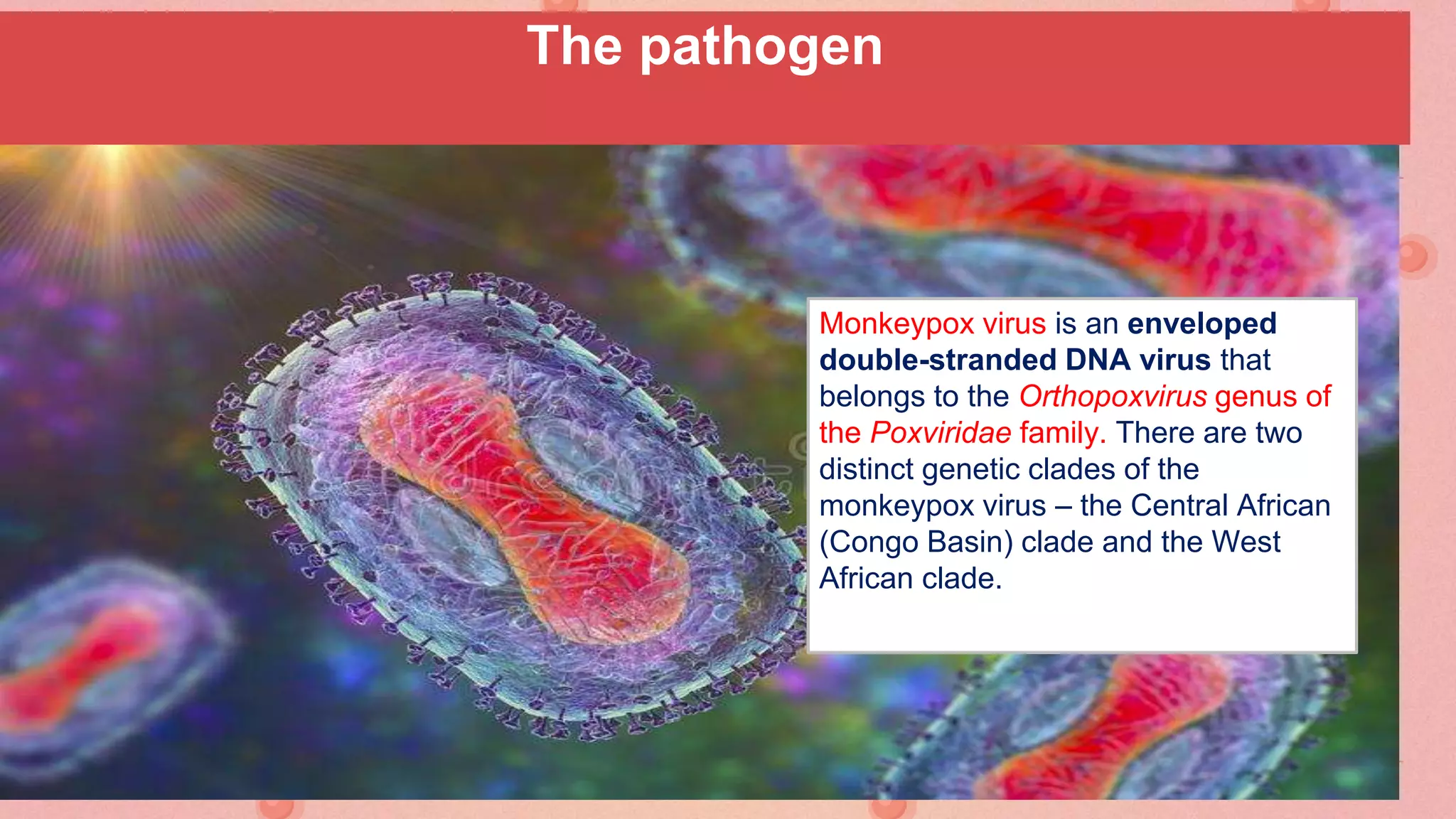 monky box virus.pptx