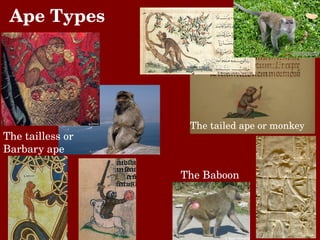 THE REPRESENTATION OF APES IN MEDIEVAL ART | PDF