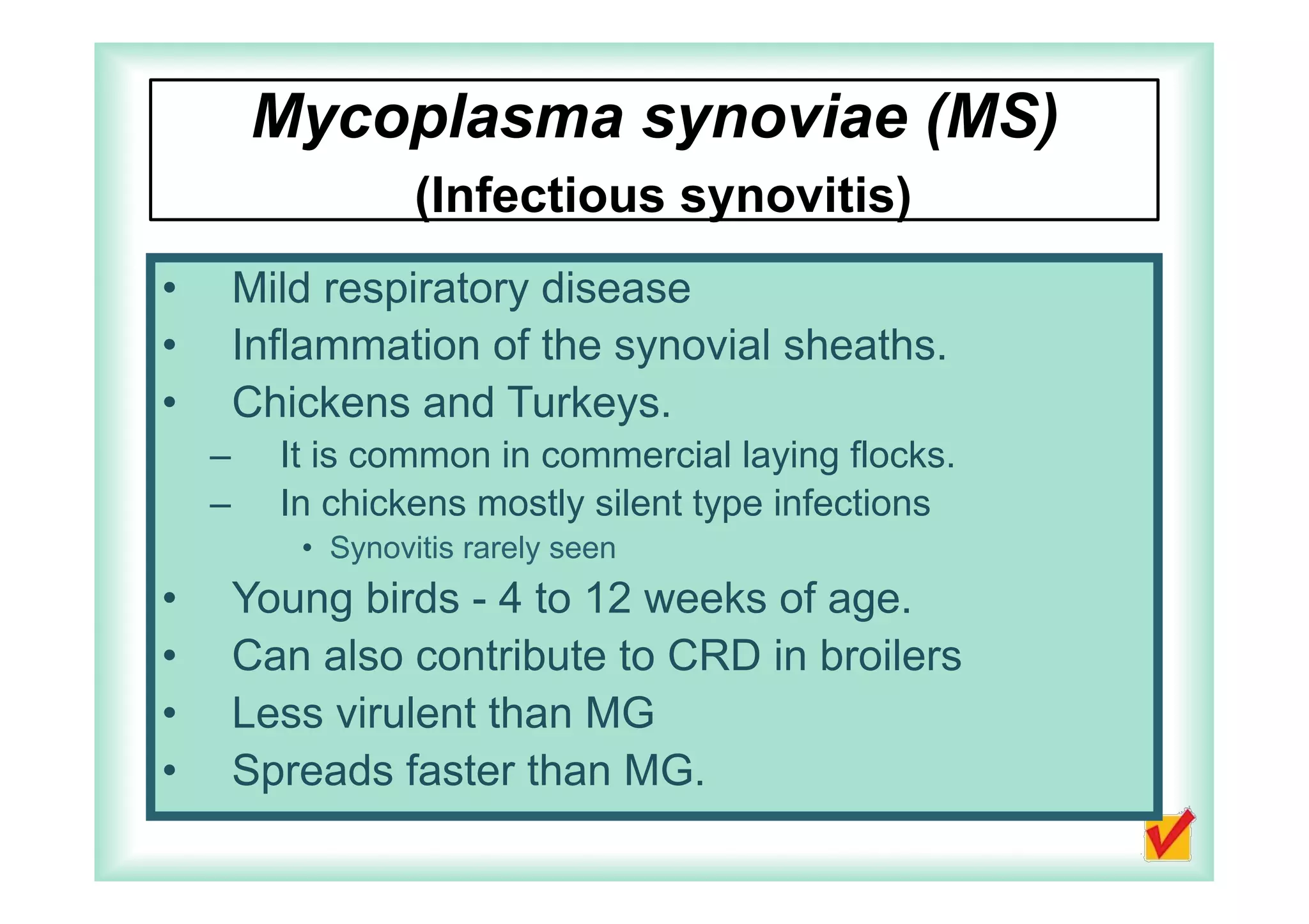 Monitor and Control of Vertically Transmitted Poultry Diseases | PDF
