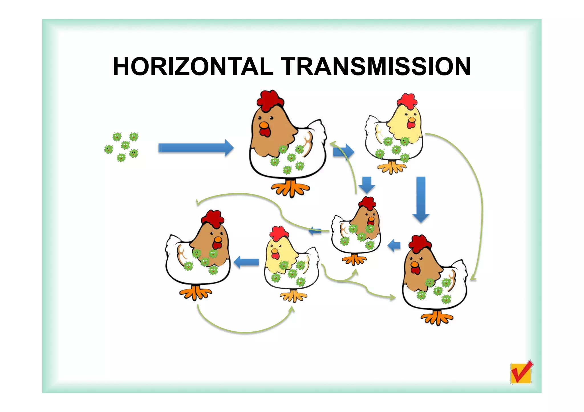 Monitor and Control of Vertically Transmitted Poultry Diseases | PDF