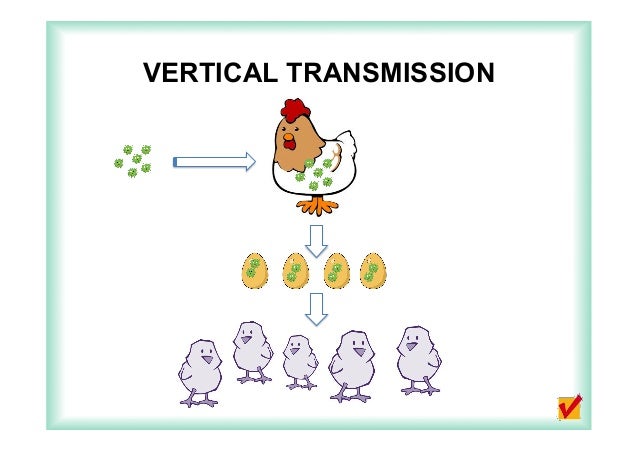 Monitor and Control of Vertically Transmitted Poultry Diseases