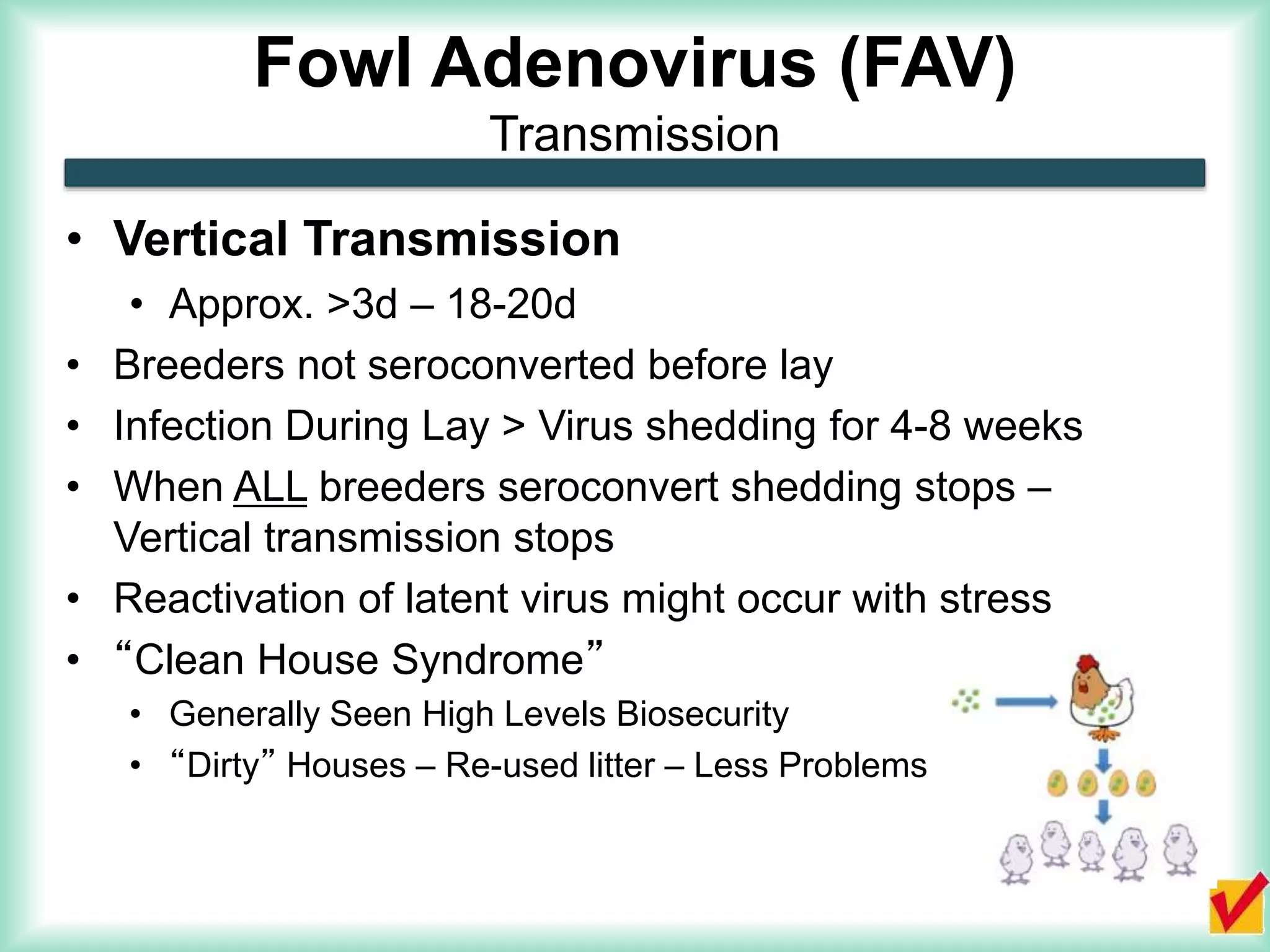 Fowl adenovirus: Using serology to control your flocks | PPSX