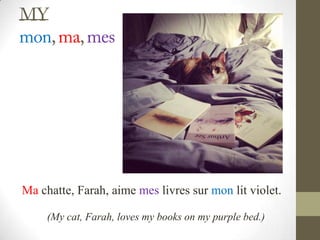 Posessive Adjectives in French | PPTX