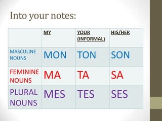 Posessive Adjectives in French | PPTX