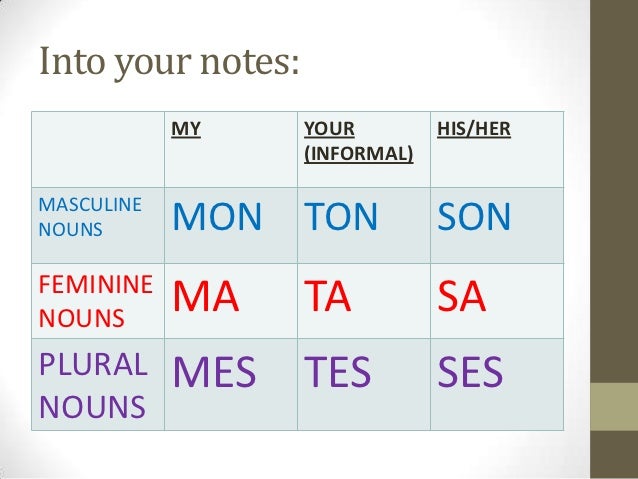 Posessive Adjectives in French