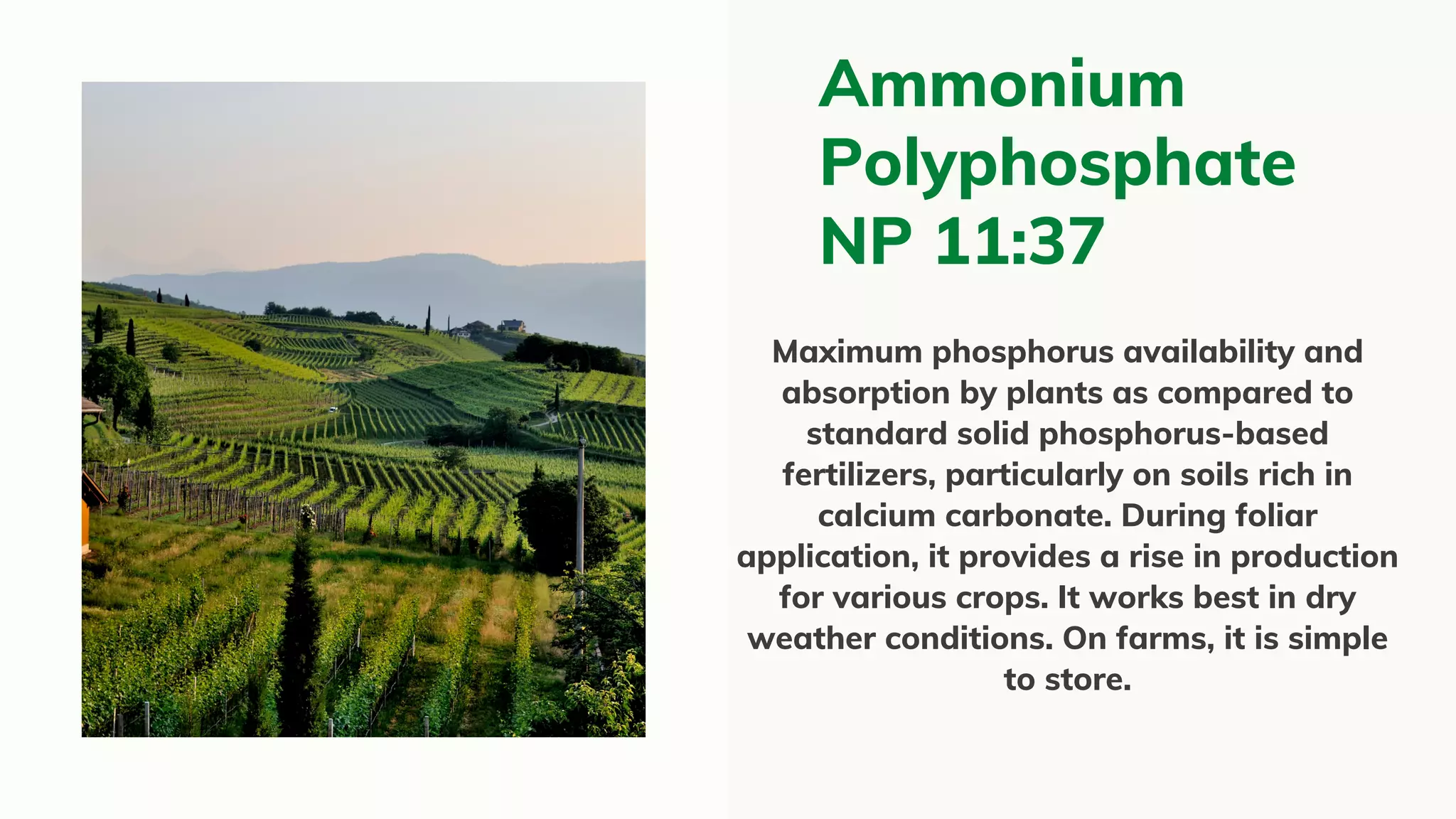 Monoammonium phosphate (MAP) NP 1046.pdf