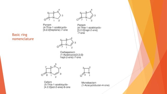 Monobactum | PPTX | Chemistry | Science