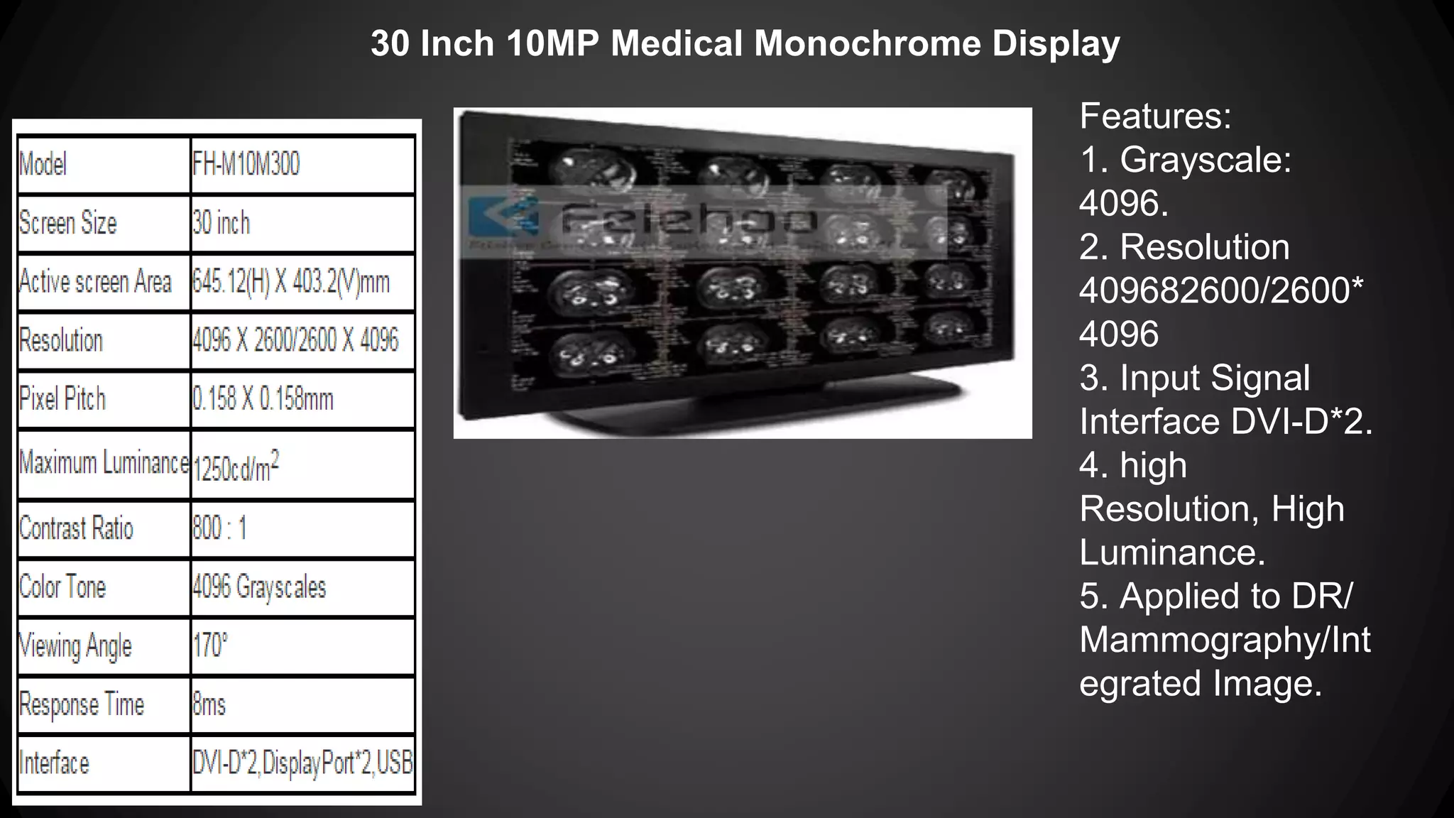 Monochrome lcd monitor | PPT