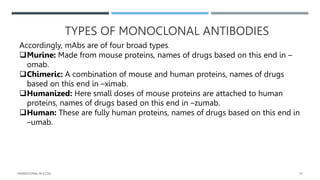 Monoclonal antibodies in e.coli