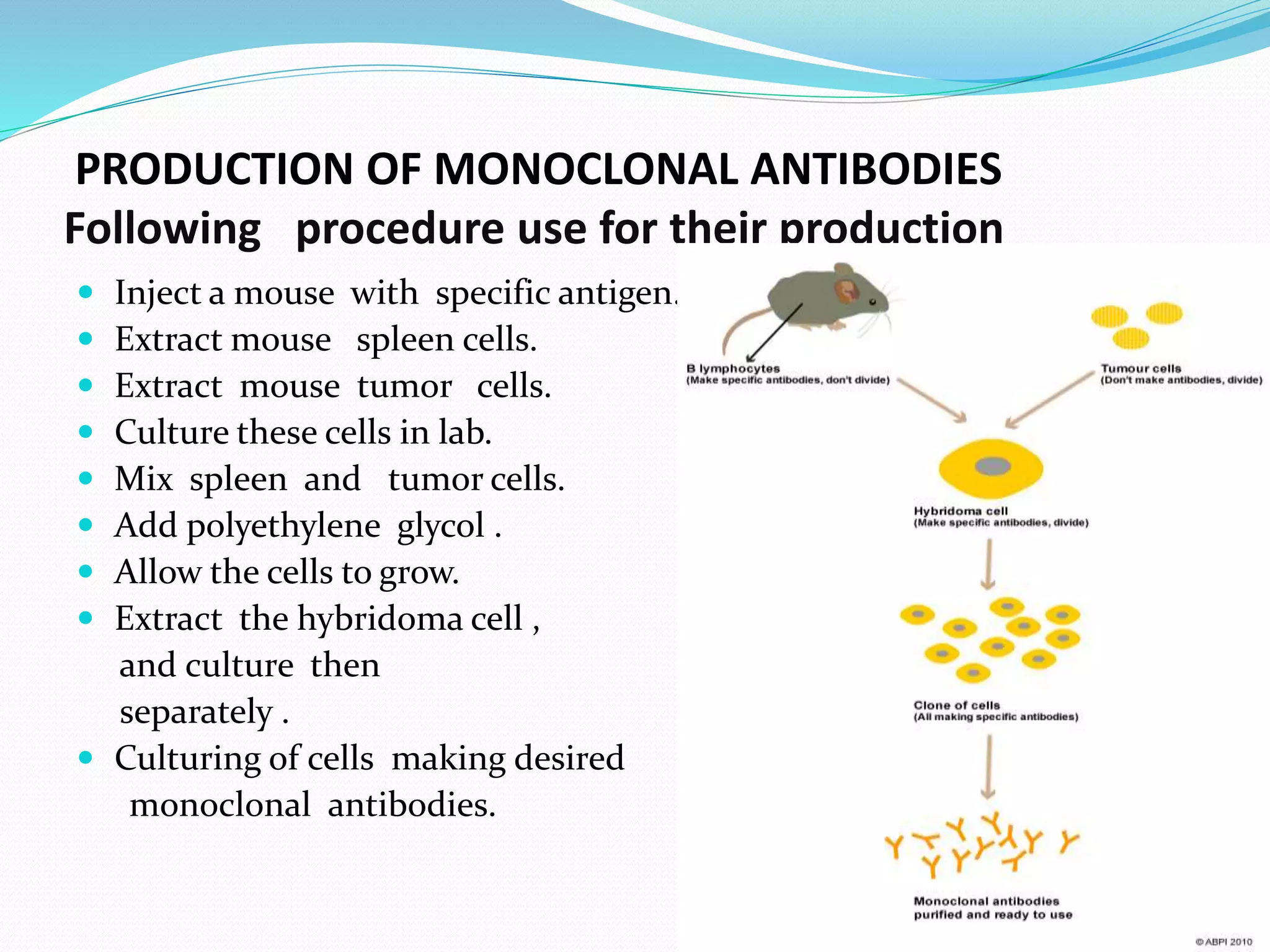 Monoclonal and abzymes | PPTX