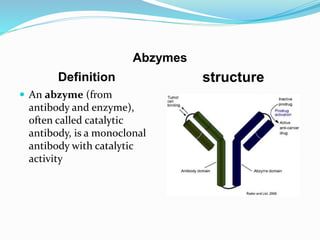 Monoclonal and abzymes | PPTX | Chemistry | Science