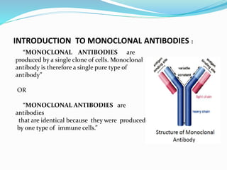 Monoclonal and abzymes | PPTX