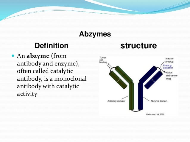 Monoclonal and abzymes