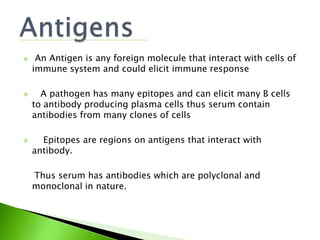 Monoclonal and polyclonal antibodies | PPT