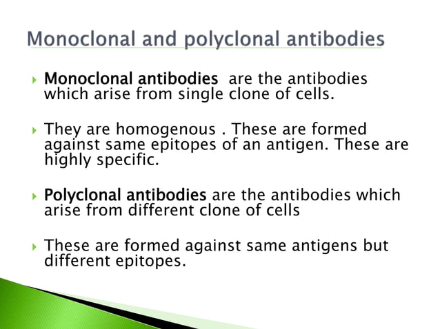 Monoclonal and polyclonal antibodies | PPT
