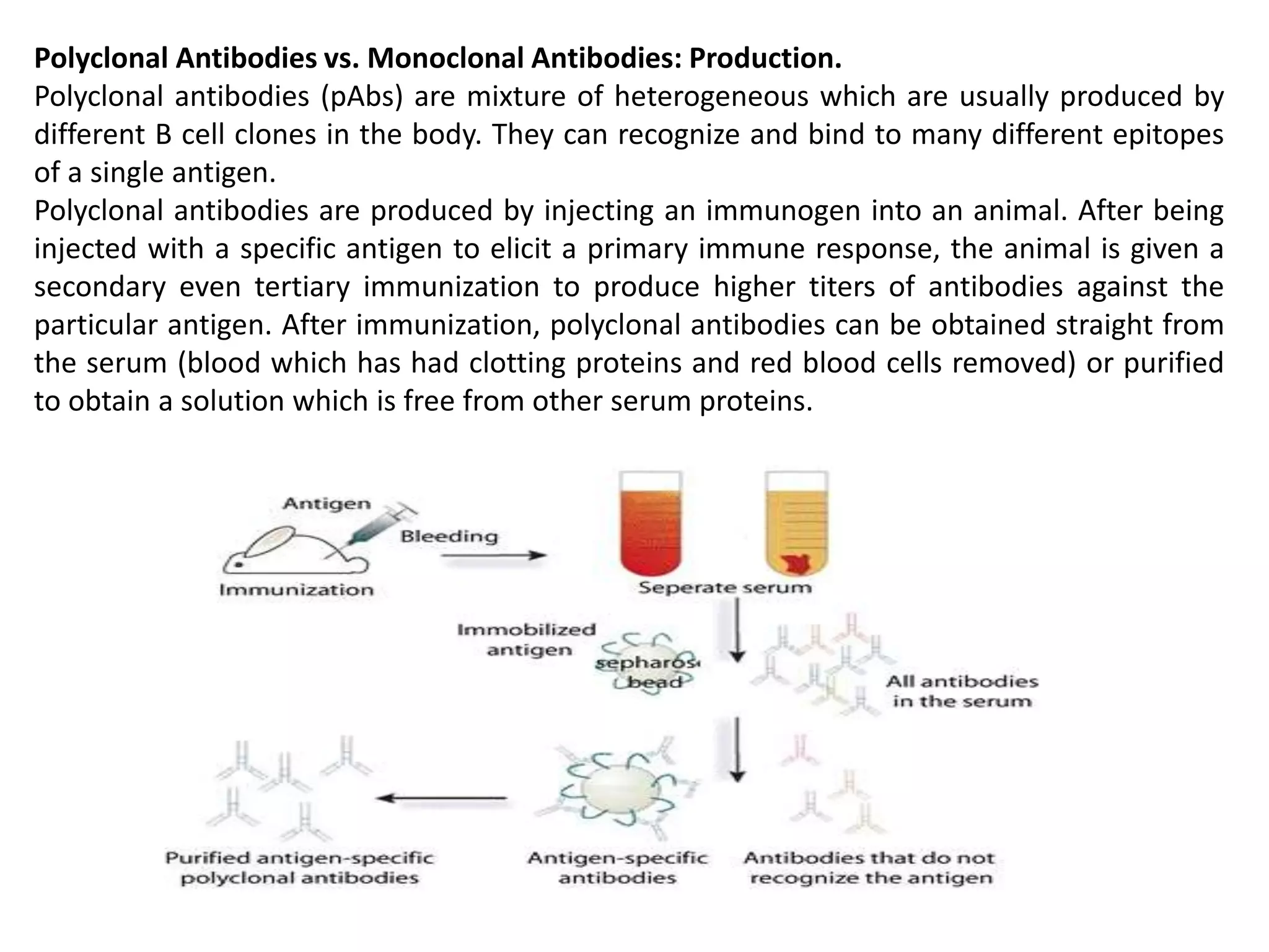 Monoclonal and polyclonal in diagnostics | PPTX