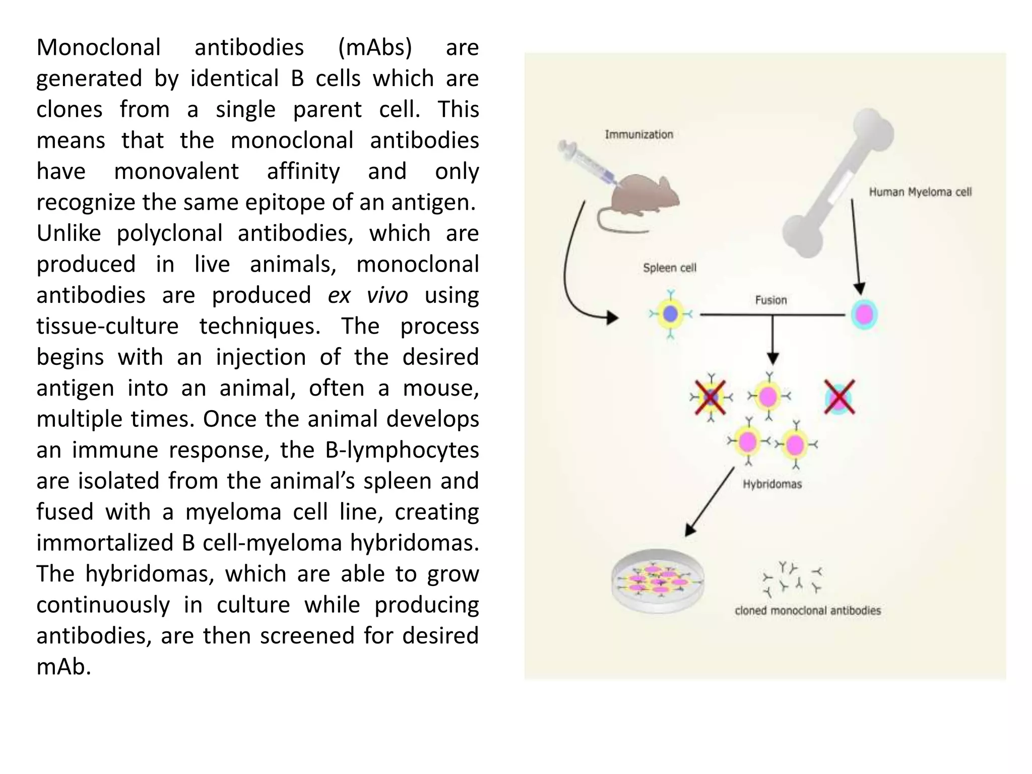 Monoclonal and polyclonal in diagnostics | PPTX