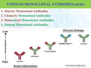 Humanized Monoclonal Antibody