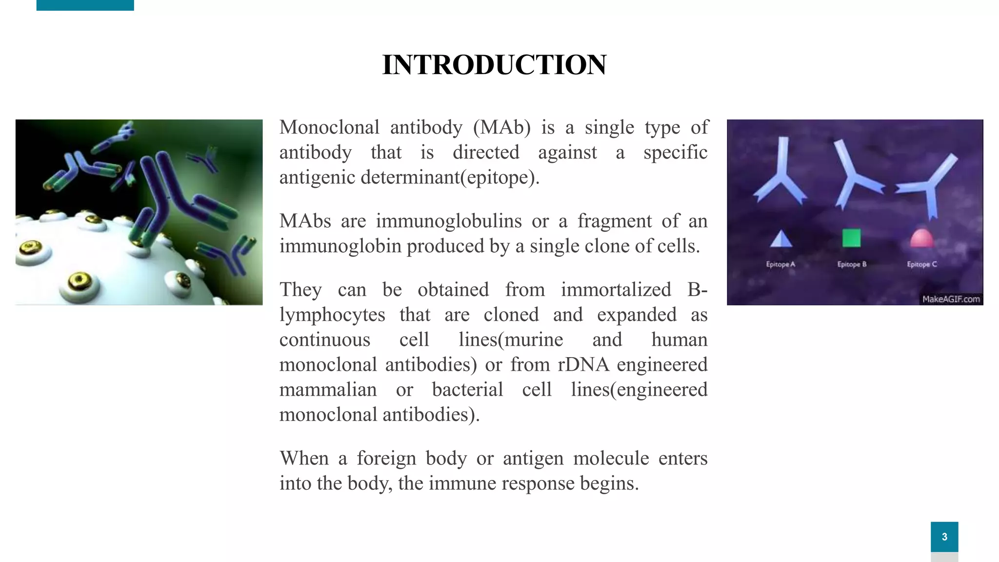 Monoclonal antibodies | PPTX
