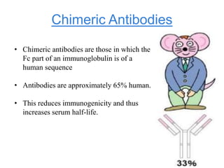 Humanized Monoclonal Antibodies
