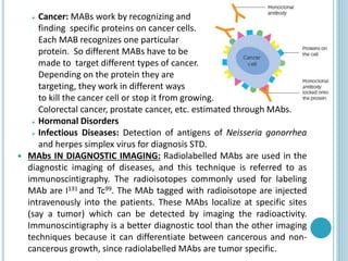 Monoclonal antibodies | PPT