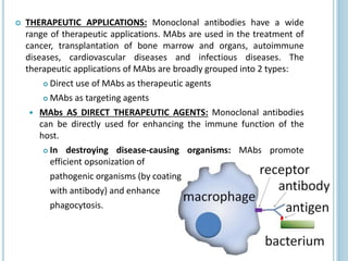 Monoclonal antibodies | PPT