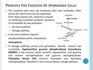 Monoclonal antibodies | PPTX