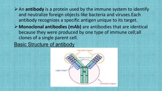 Monoclonal antibodies preparatation and applicatation | PPTX