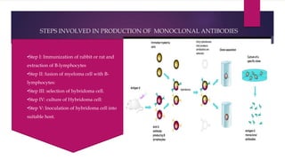 Monoclonal antibodies | PPTX