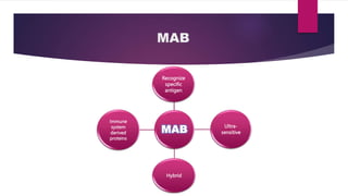 Monoclonal Antibodies included under Immunopharmacology | PPT