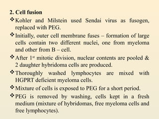 MONOCLONAL ANTIBODIES AND ITS APPLICATIONS | PPTX