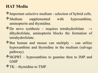 MONOCLONAL ANTIBODIES AND ITS APPLICATIONS | PPTX