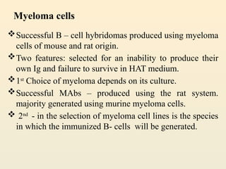 MONOCLONAL ANTIBODIES AND ITS APPLICATIONS | PPTX