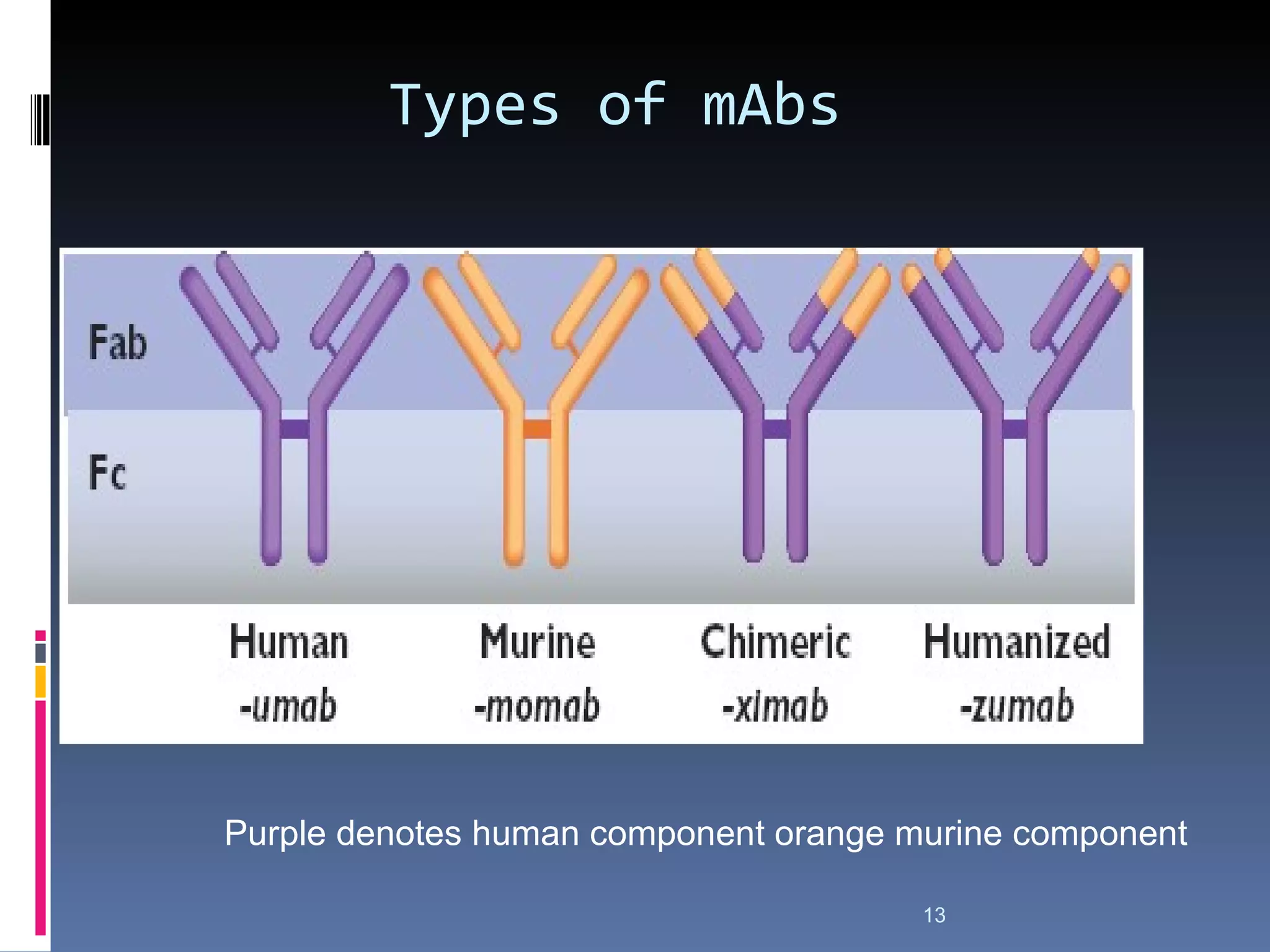 Monoclonal Antibodies and their role in Pharmacology | PPT