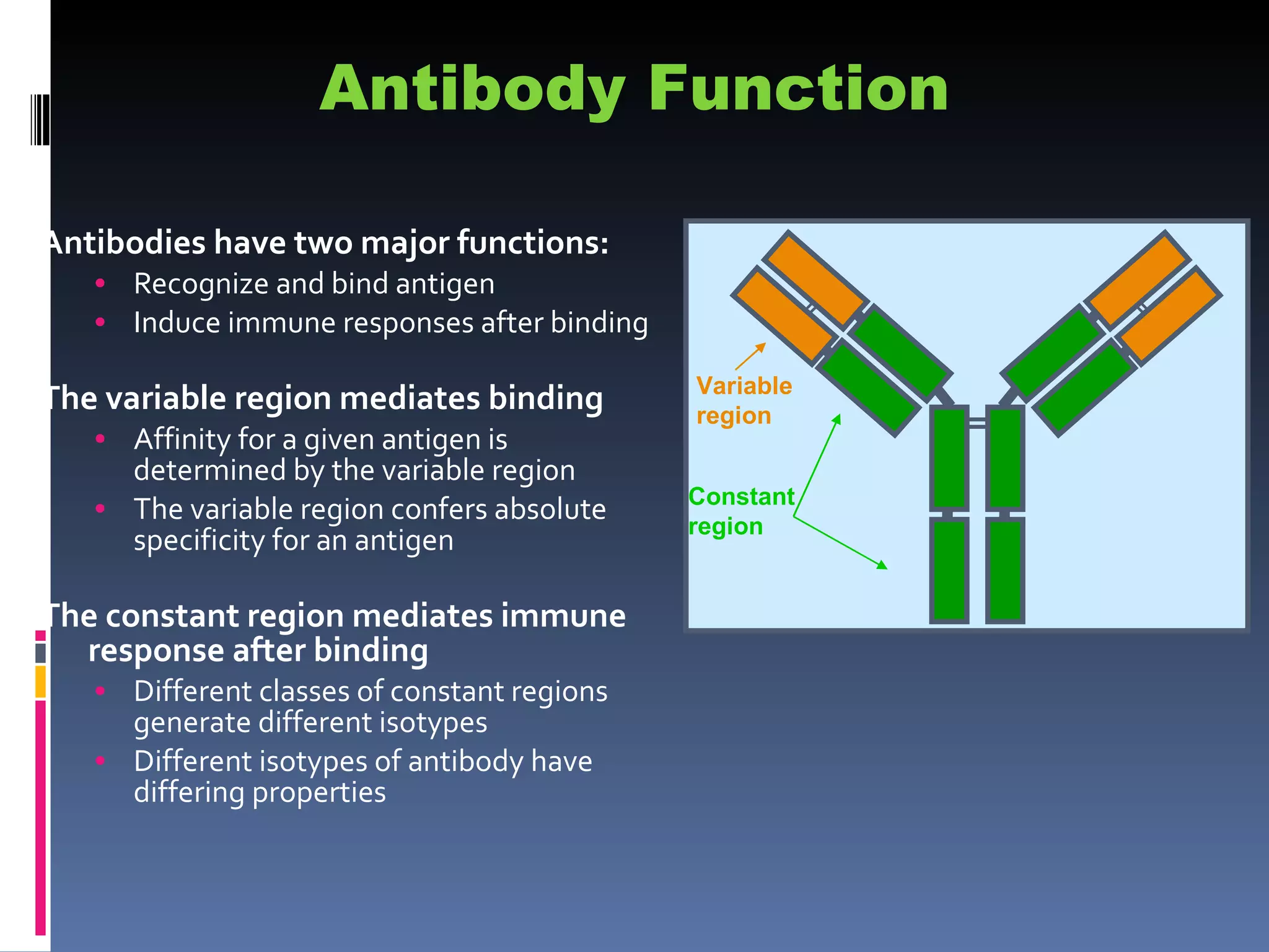 Monoclonal Antibodies and their role in Pharmacology | PPT