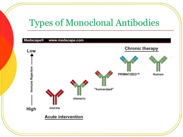 Monoclonal antibodies and gene therpy