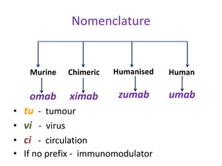 Monoclonal antibodies dr.elza