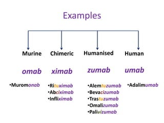 Monoclonal antibodies dr.elza