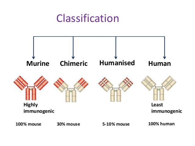 Monoclonal antibodies dr.elza