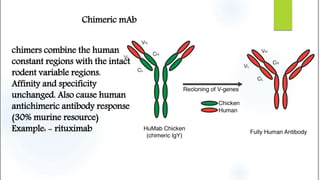 Monoclonal antibodies drug targeting particuler carrier system | PPT