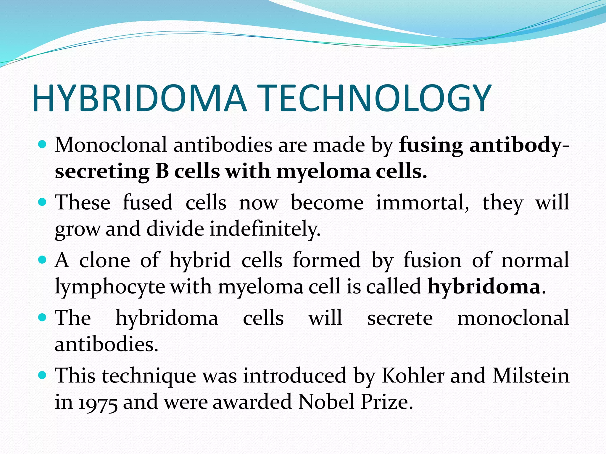 Monoclonal antibodies & hybridoma technology | PPTX