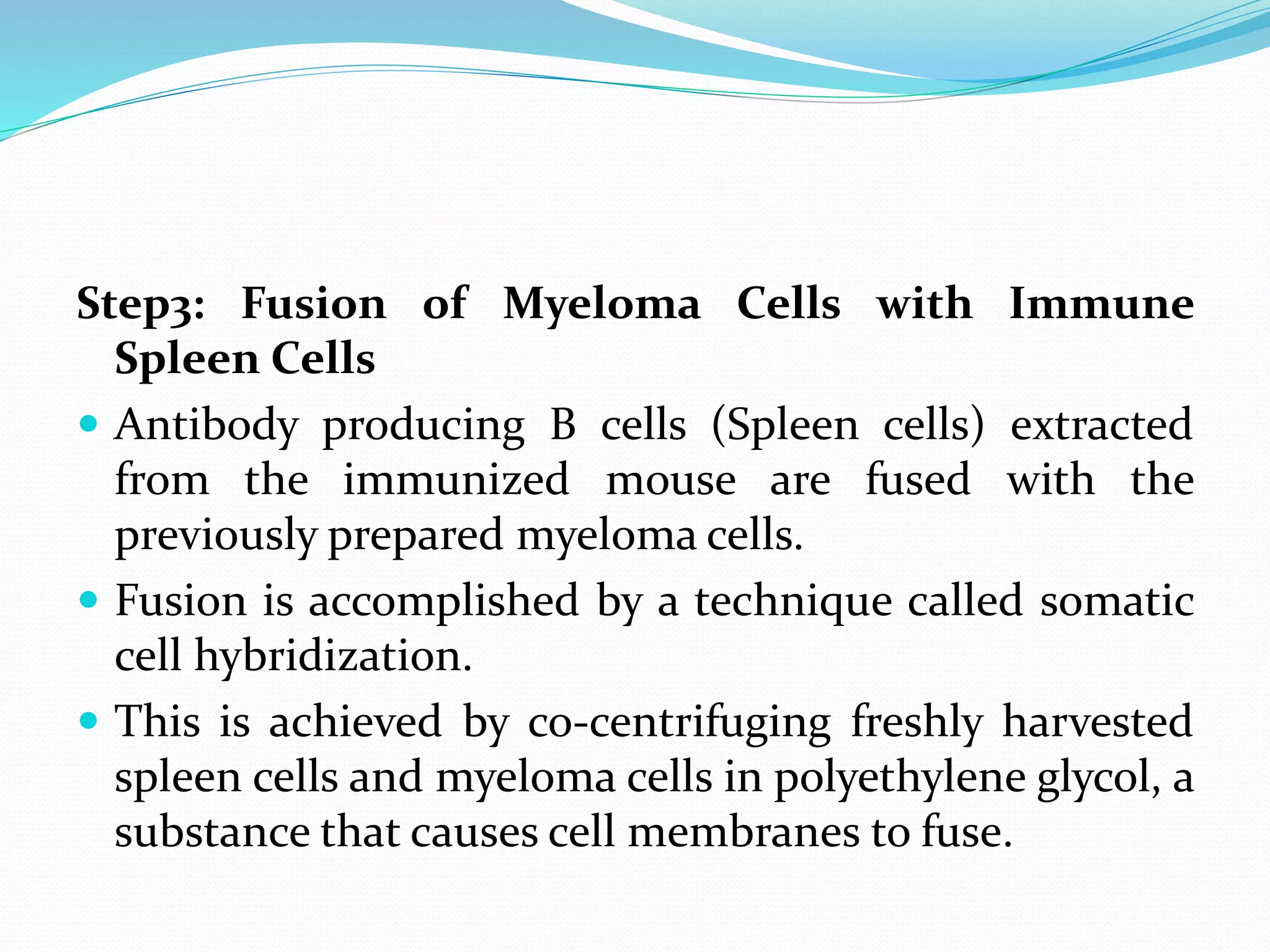 Monoclonal antibodies & hybridoma technology | PPTX