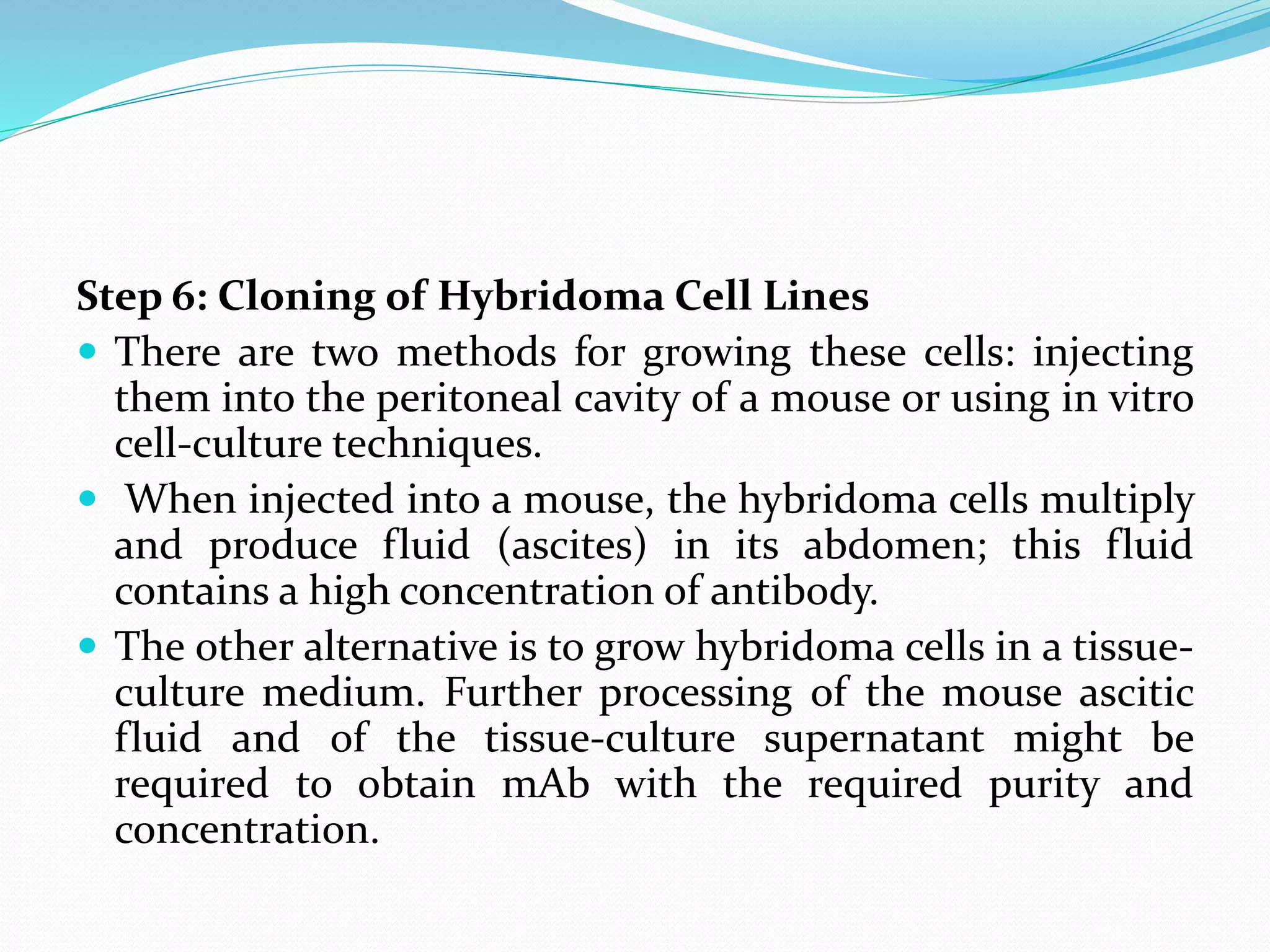 Monoclonal antibodies & hybridoma technology | PPTX