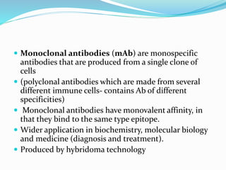 Monoclonal antibodies & hybridoma technology | PPTX