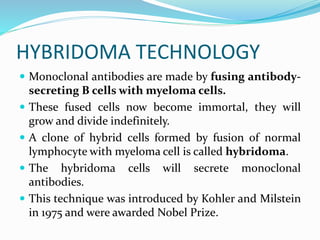 Monoclonal antibodies & hybridoma technology | PPTX